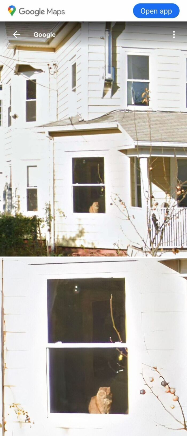 Google Map Shots That Capture Something Truly Memorable