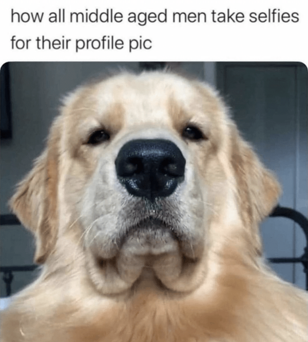 Cheesy Memes Funny Jokes Stupidly Simple Thoughts Photo Captions 2025