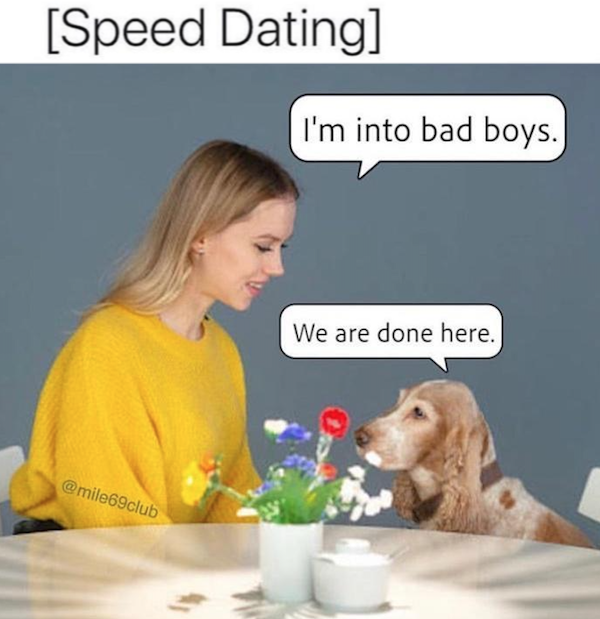 Cheesy Memes Funny Jokes Stupidly Simple Thoughts Photo Captions 2025