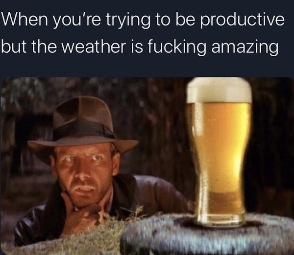 Cheesy Memes Funny Morning Sucks Photo Captions Best New 2025 Pictures
