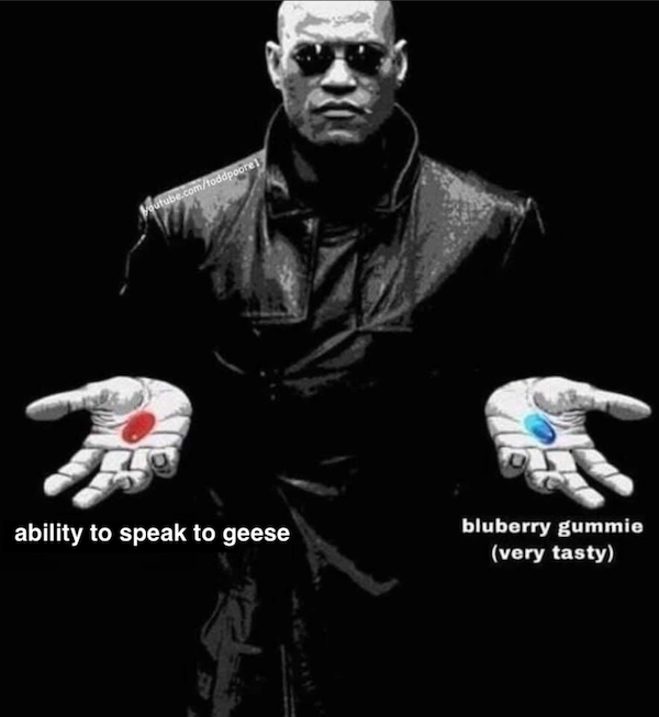 Mind-LESS morning Memes are Funny Stupid yet Too TRUE Monday Sucks