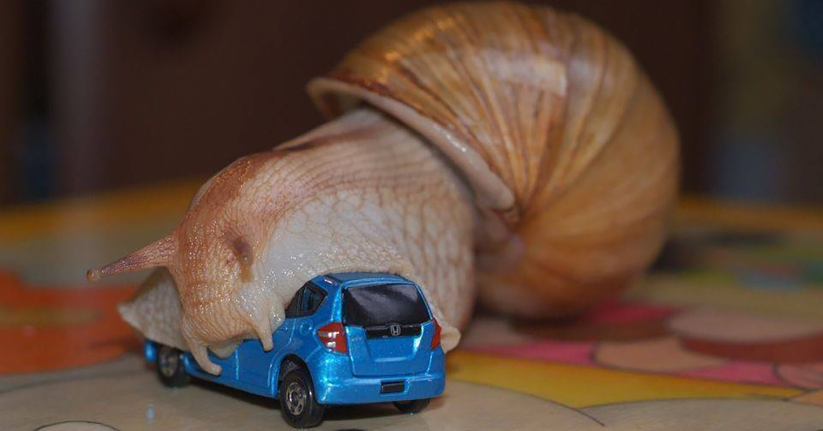 Morning Awesomeness: Random Pics from the Web - theCHIVE