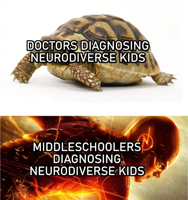 Top Notch Dank Memes of the Week