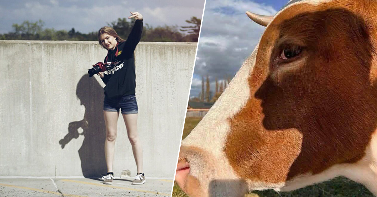 Bizarre shadows are showing off sights and images we cannot mistake