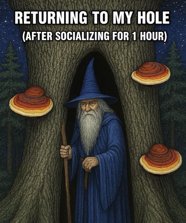 Daily Evening Randomness (Nightcap)