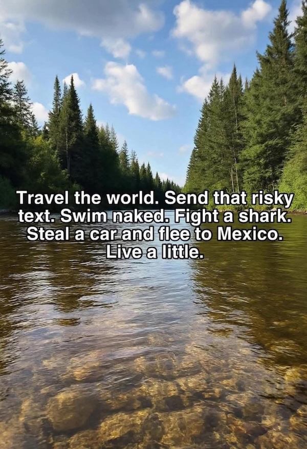 Daily Evening Randomness (Nightcap)