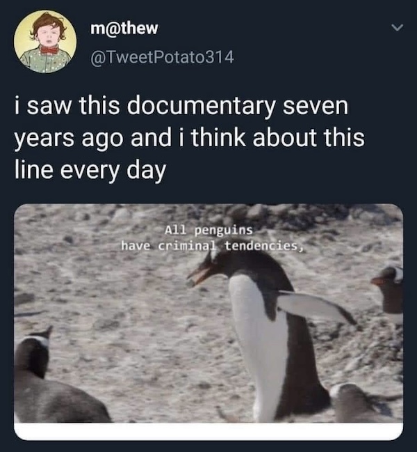 Daily Evening Randomness (Nightcap)