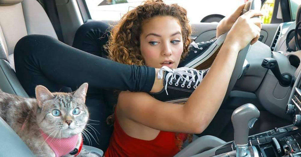 Morning Awesomeness: Random Pics from the Web - theCHIVE