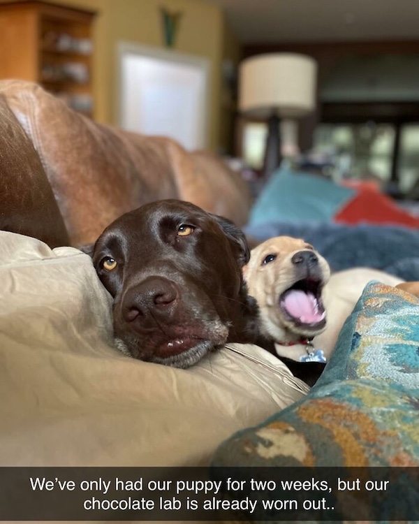 DMA is departing at gate 'Awesome'!