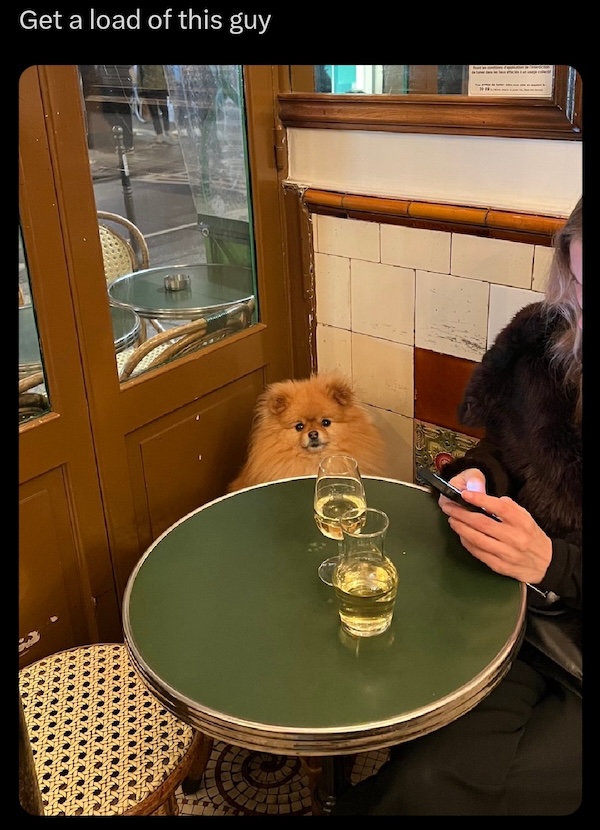 Funny, Strange, Random Pics | Page 11409 | Fires of Heaven - A ...