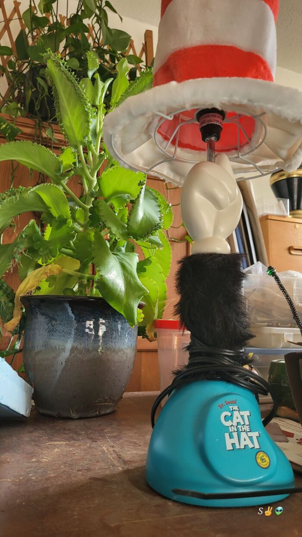 Surprisingly Awesome Things Found in Homes