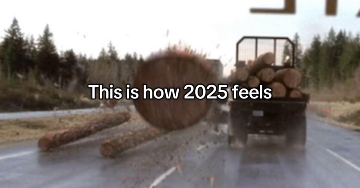 Daily Afternoon Randomness | Random Memes, Photos & Gifs - theCHIVE