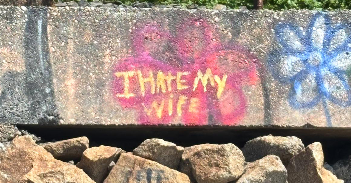 Daily Afternoon Randomness | Random Memes, Photos & Gifs - theCHIVE