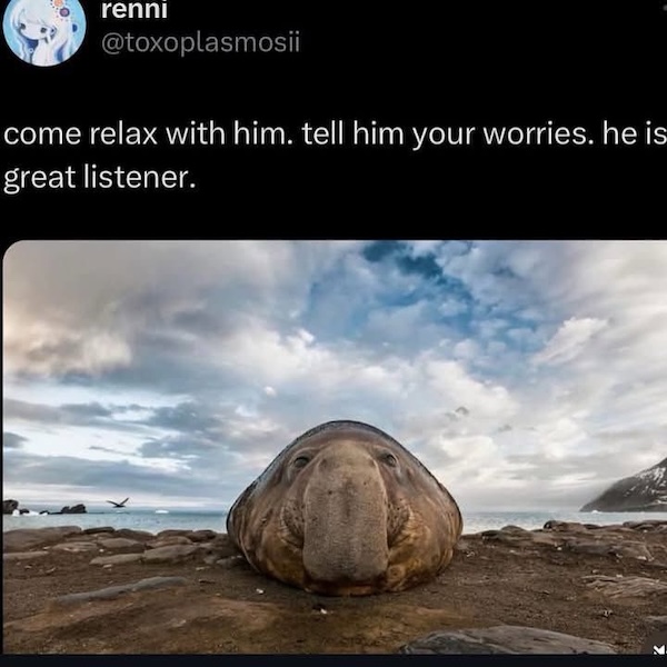 Daily Evening Randomness (Nightcap)