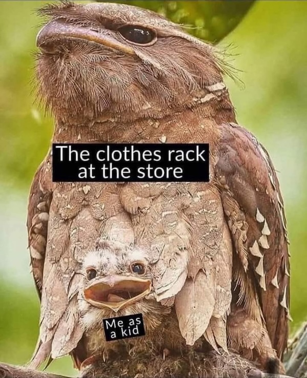 Daily Evening Randomness