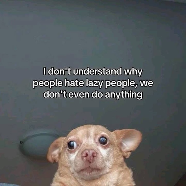 Daily Evening Randomness