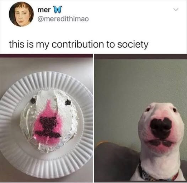 Welcome Back to the Happiest Corner of the Internet