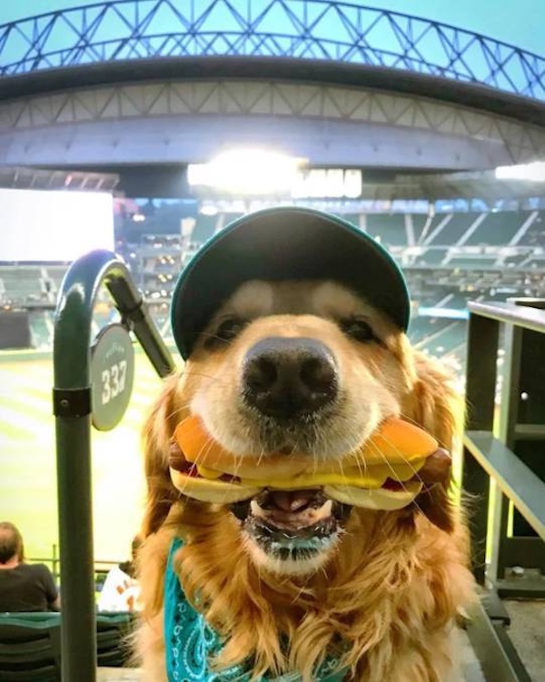 Let's wade into the weekend with awesome images in tow!