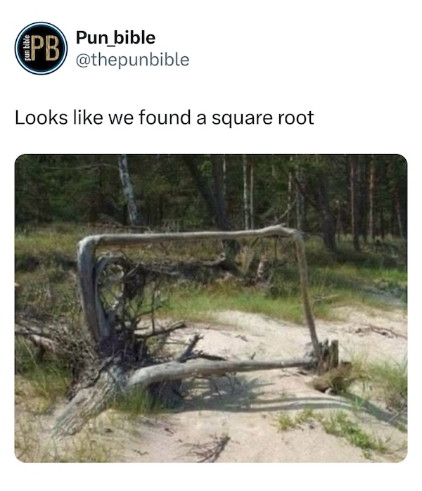 These puns are *absolutely* intended