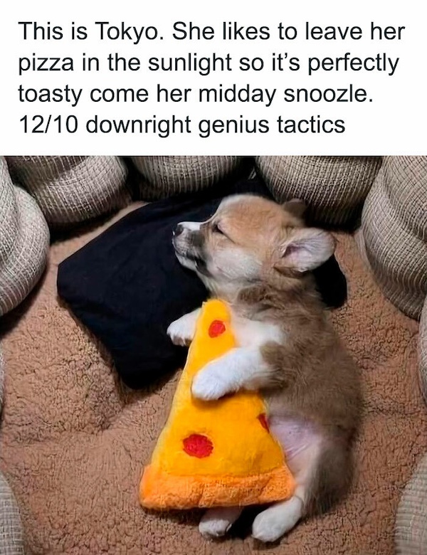 DMA rides us into a new dawn! Ride on!!