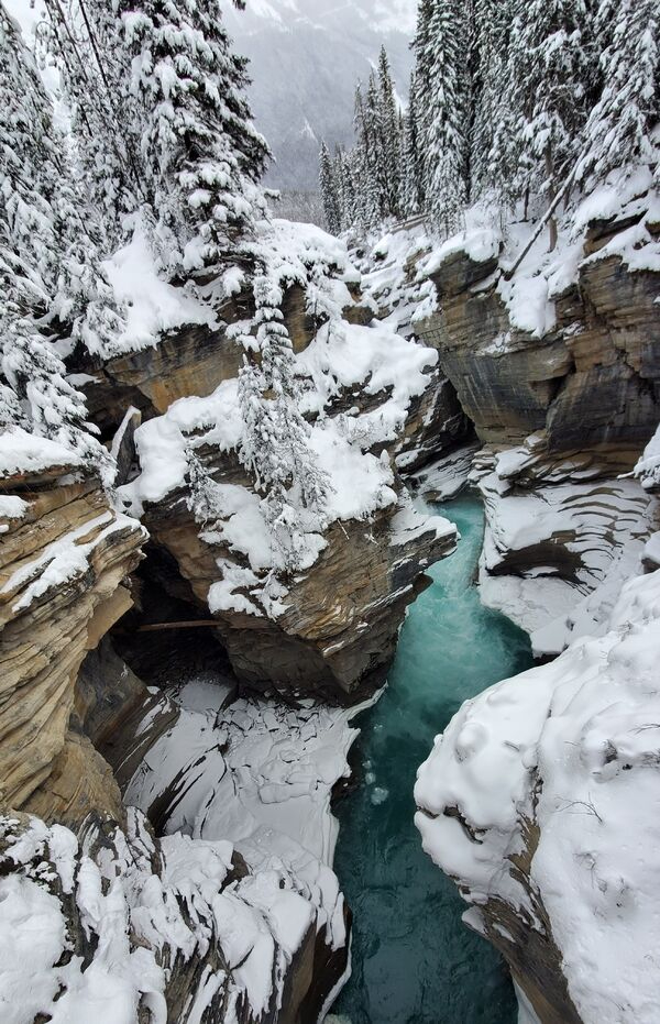 A Little Ode to Canada