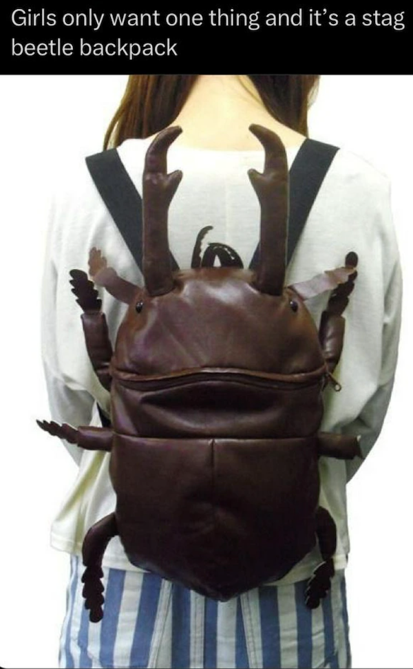 Cheesy Memes Funny Jokes Stupidly Simple Thoughts Photo Captions 2025