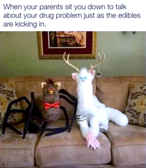 Cheesy Memes Funny Jokes Stupidly Simple Thoughts Photo Captions 2025