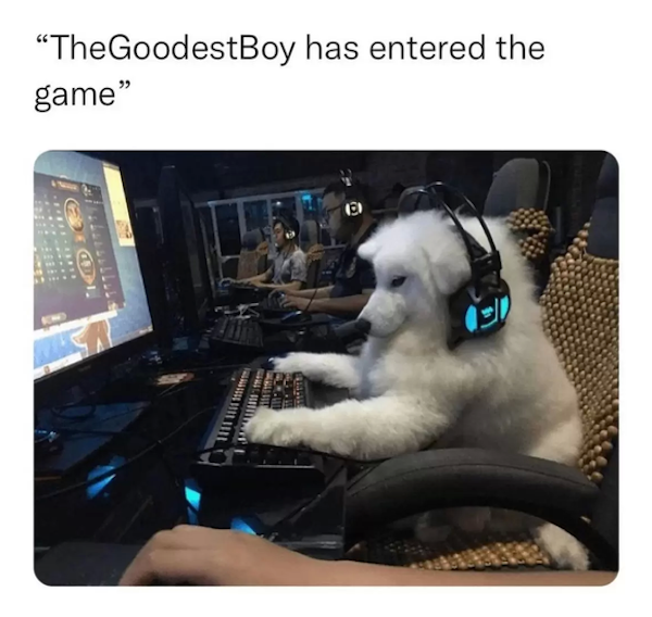 Daily Afternoon Randomness Best Funny Photos Sexy Chivette Girls DAR