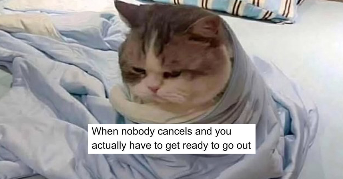 Funny Memes | The Funniest and Most Hilarious Memes Ever - theCHIVE