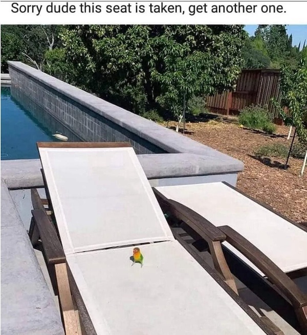 Mind-LESS morning Memes are Funny Stupid yet Too TRUE for Work Sucks