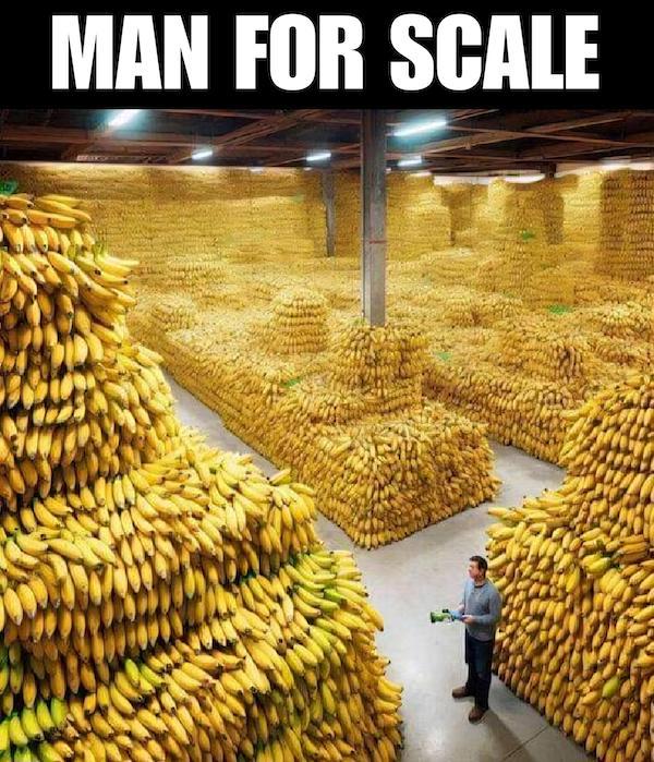 Mind-LESS morning Memes are Funny Stupid yet Too TRUE for Work Sucks