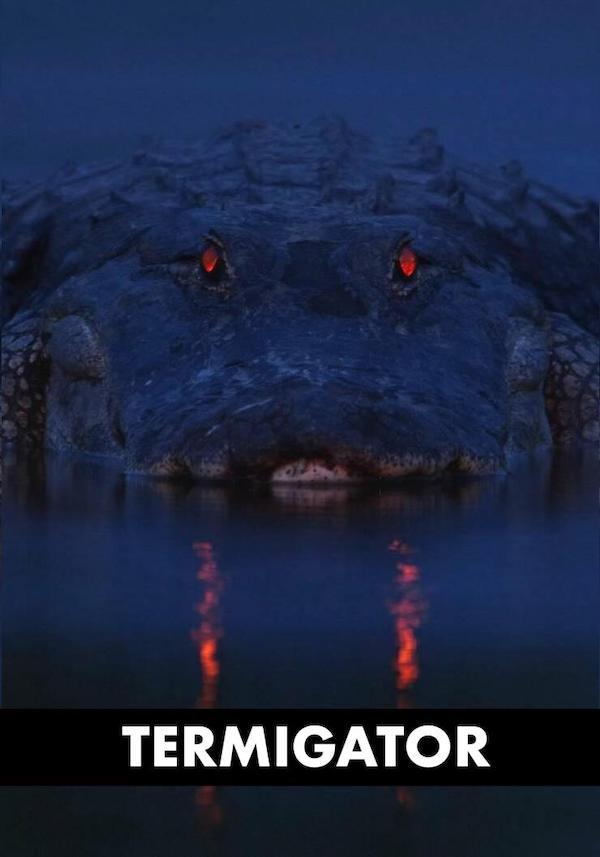 Terminator Memes and Funny T2 GIFs Best Action Movie Flick List T-1000