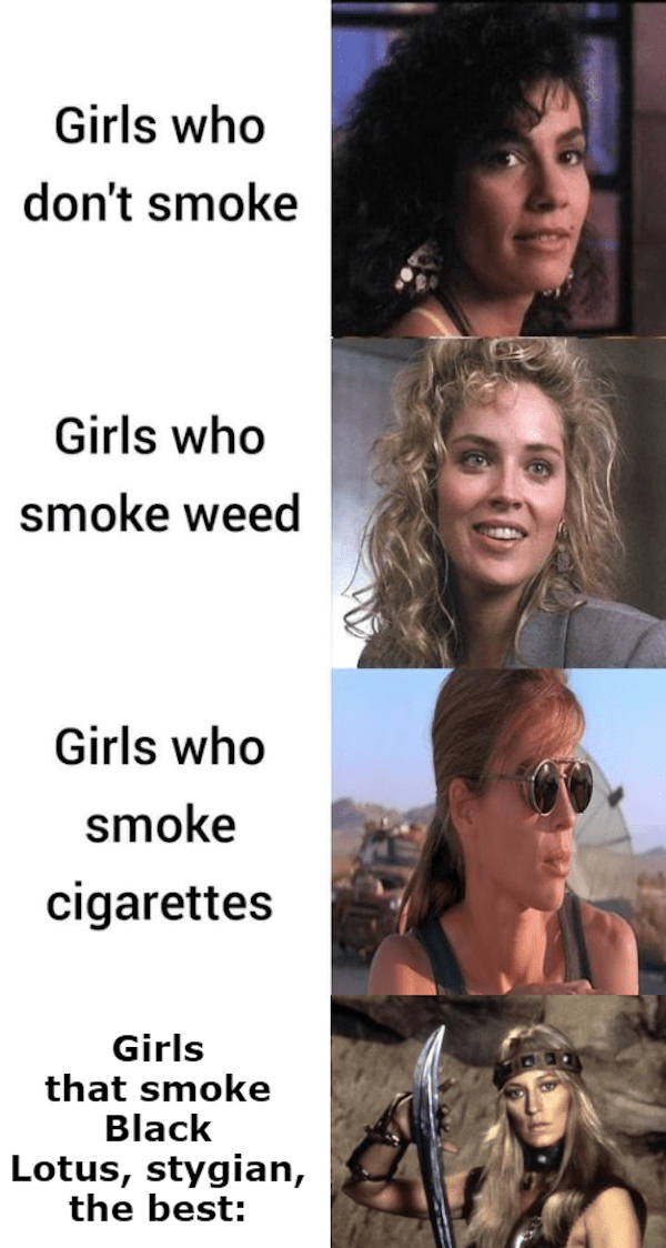 Terminator Memes and Funny T2 GIFs Best Action Movie Flick List T-1000
