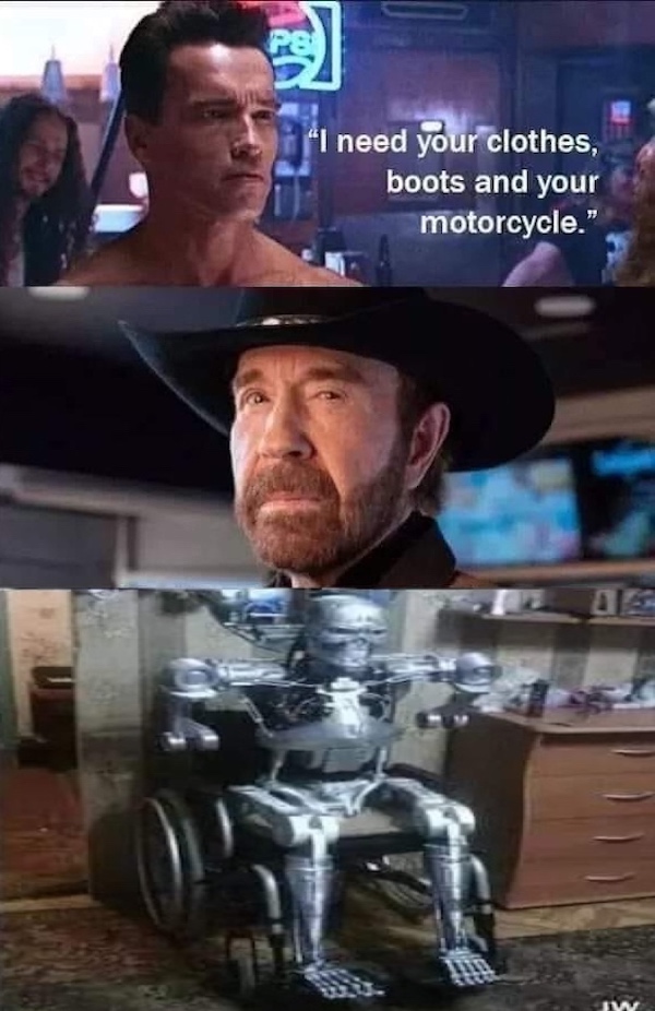 Terminator Memes and Funny T2 GIFs Best Action Movie Flick List T-1000