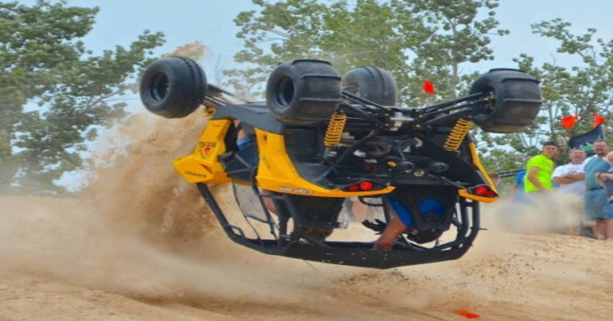 Daily Afternoon Randomness | Random Memes, Photos & Gifs - theCHIVE