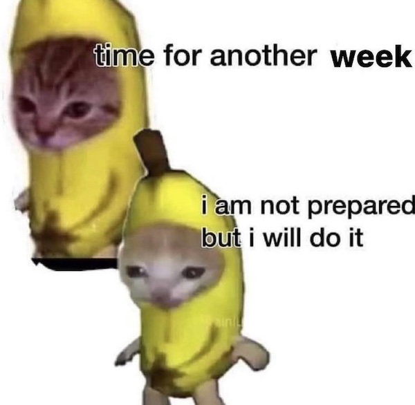 Daily Afternoon Randomness