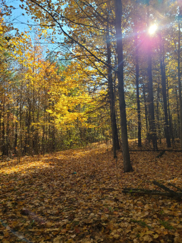 A Little Ode to Canada