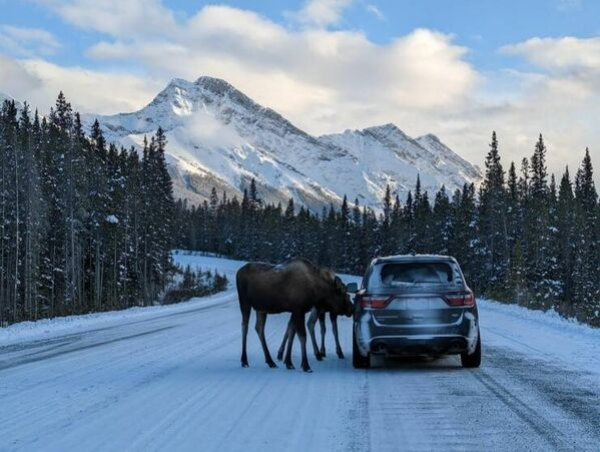 A Little Ode to Canada