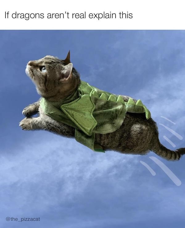 Daily Afternoon Randomness