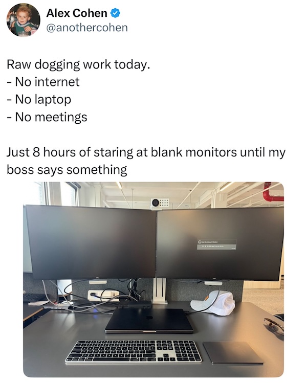 Daily Afternoon Randomness