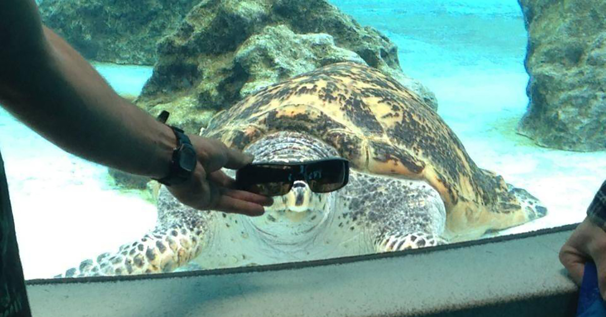 Wake up! It's Friday and time for morning Awesomeness!