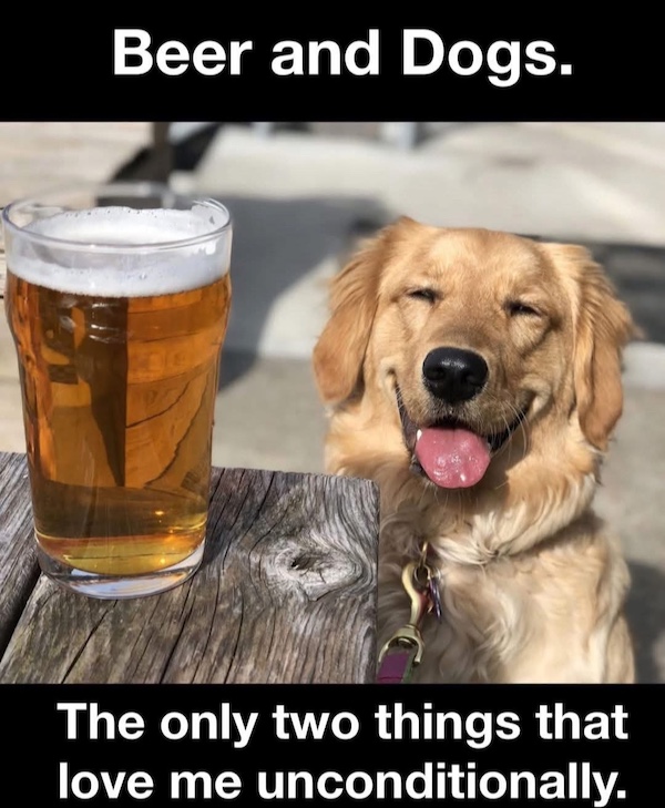 People raise a glass and toast to their friends and family