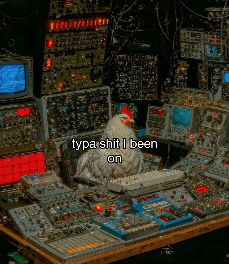 Daily Afternoon Randomness