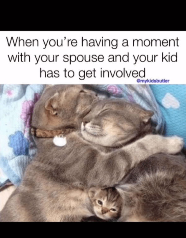 Relationship Memes That Ring a Little Too True