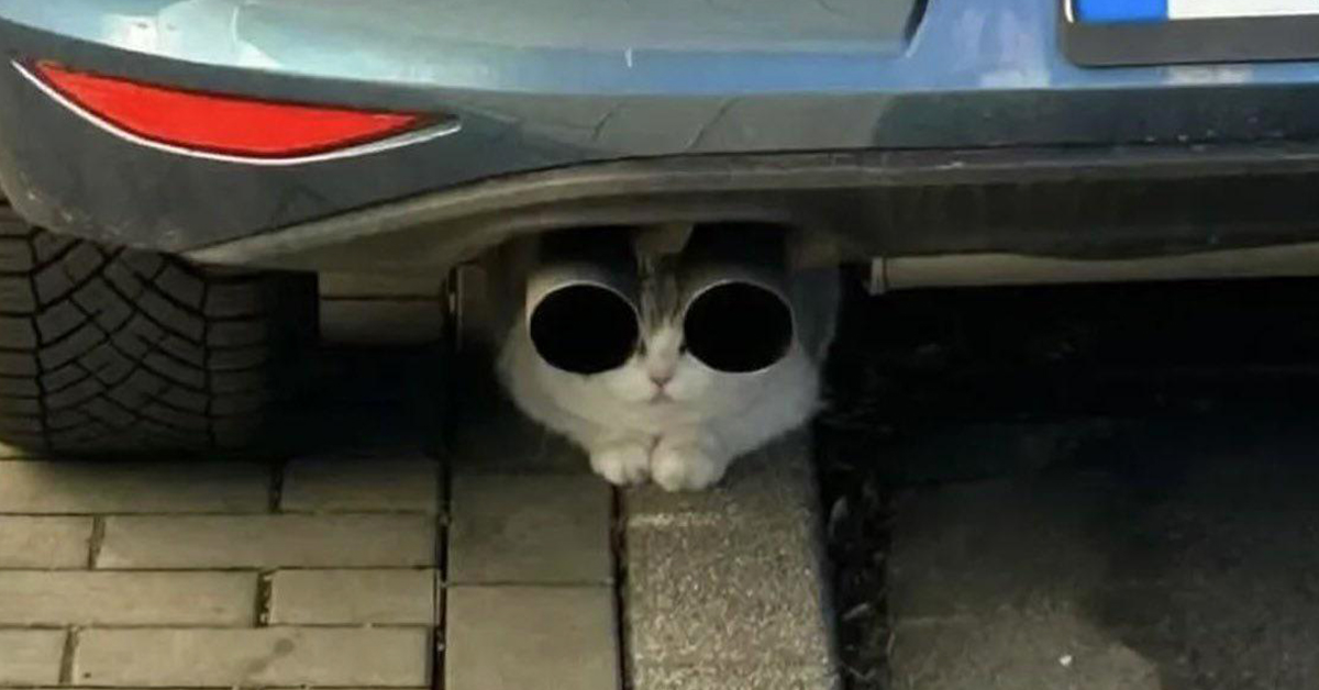 Daily Afternoon Randomness