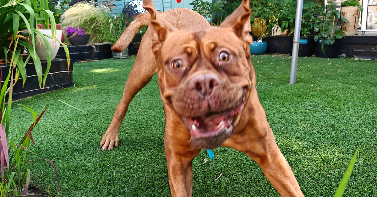 Daily Afternoon Randomness | Random Memes, Photos & Gifs - theCHIVE