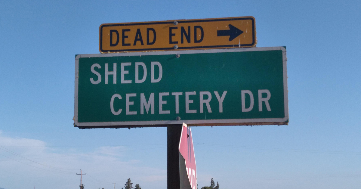 Daily Afternoon Randomness