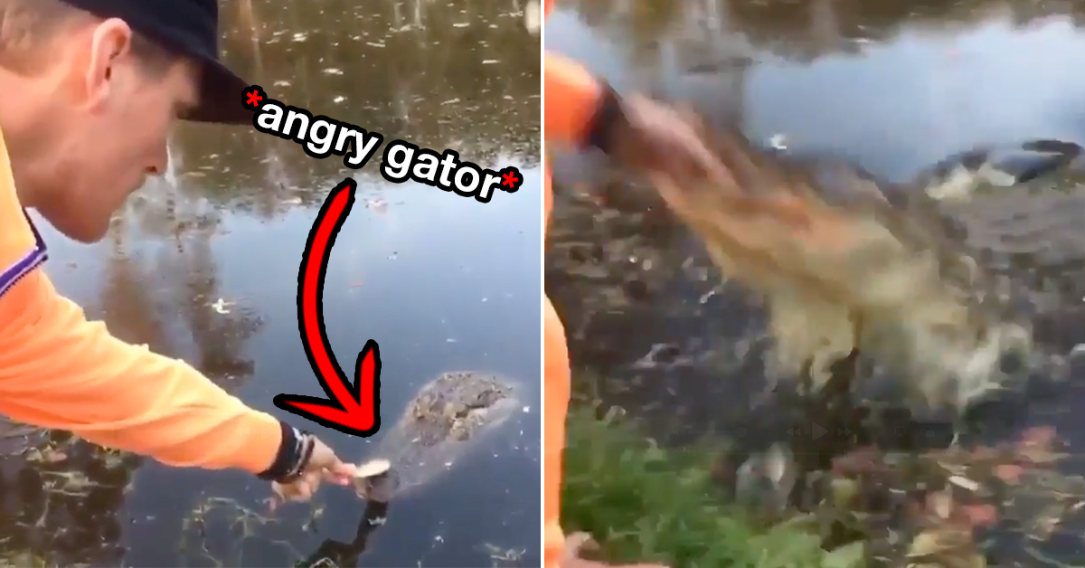 Funny Gifs | Best Gifs Ever - theCHIVE