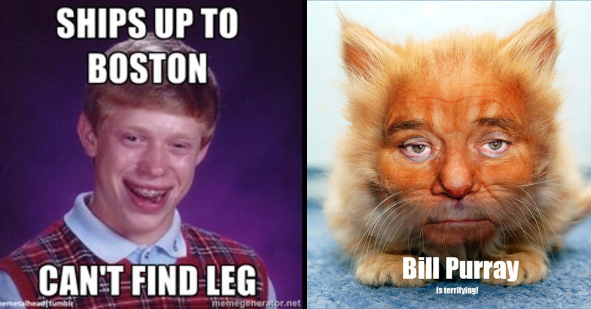 Winning Memes | Winning Gifs, Pictures & Videos - theCHIVE