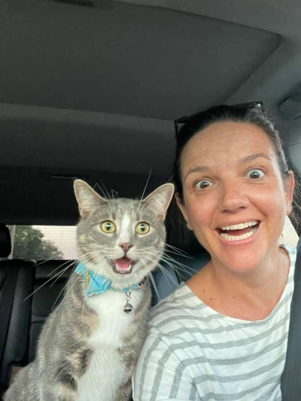 You Wanted Cats? You Got Cats!